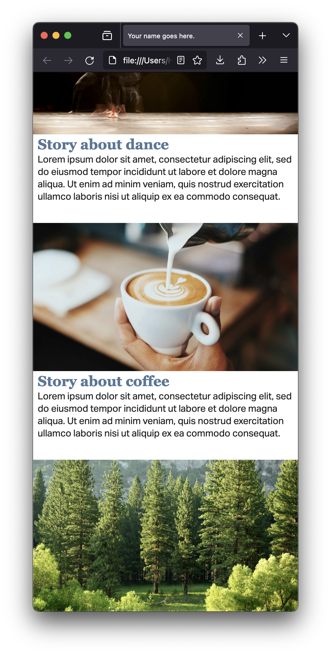 Bruno Ribeiro | Cal Poly | Spring 2024 | GRC 339: Web Design and Production | Assignments ...