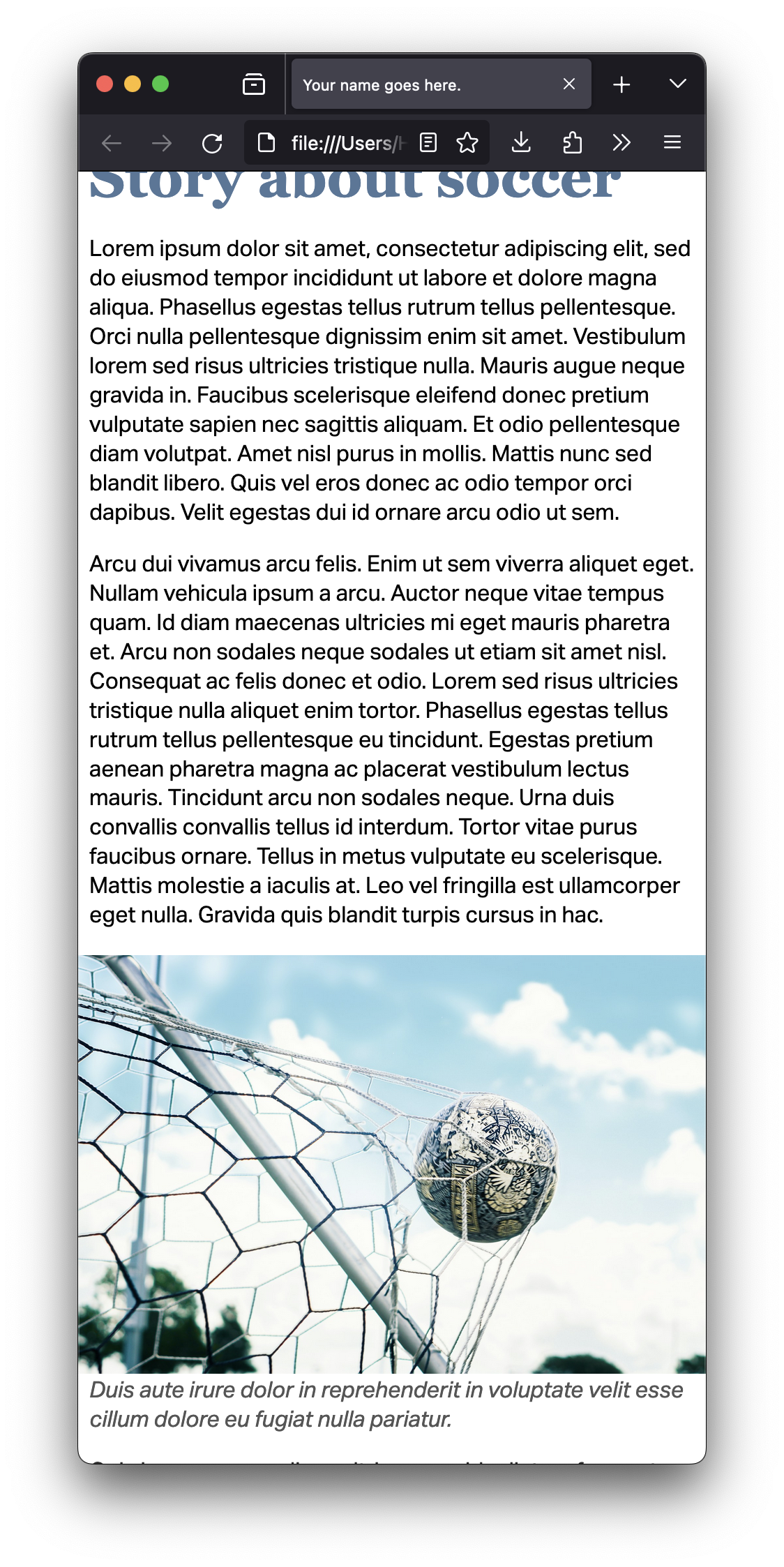 Bruno Ribeiro | Cal Poly | Spring 2024 | GRC 339: Web Design and Production | Assignments ...