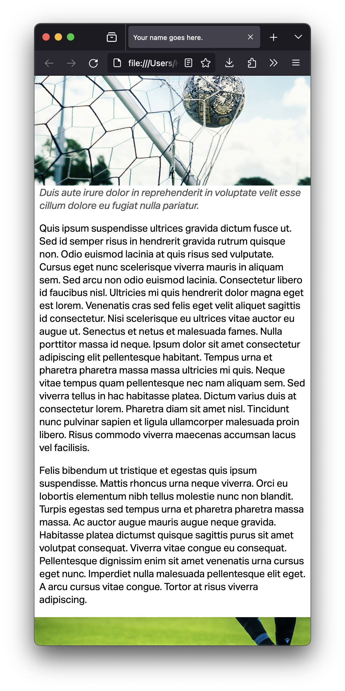 Bruno Ribeiro | Cal Poly | Spring 2024 | GRC 339: Web Design and Production | Assignments ...